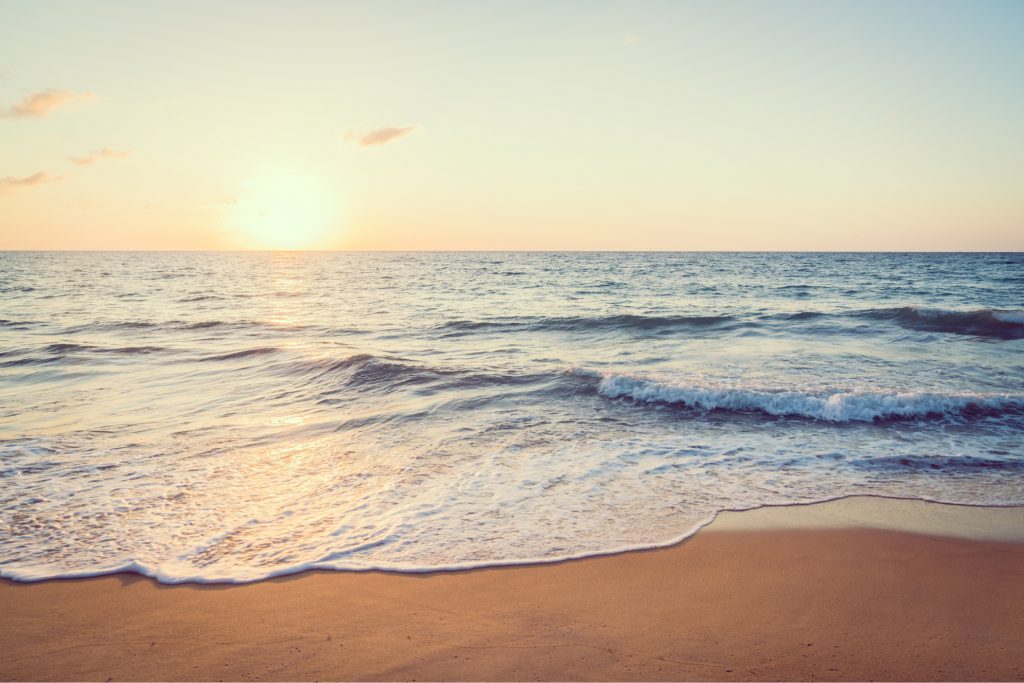 Horizon coach traject - Horizon Coaching